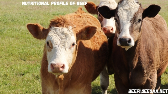 Nutrition in Beef.: Beefy Insights
